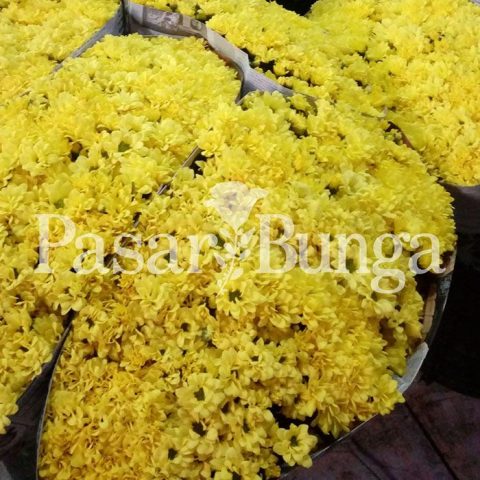 Bunga Potong Best - Pasar Bunga Jakarta